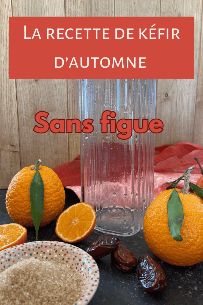 Comment faire du kéfir de fruit sans figue - Académie Fermentation