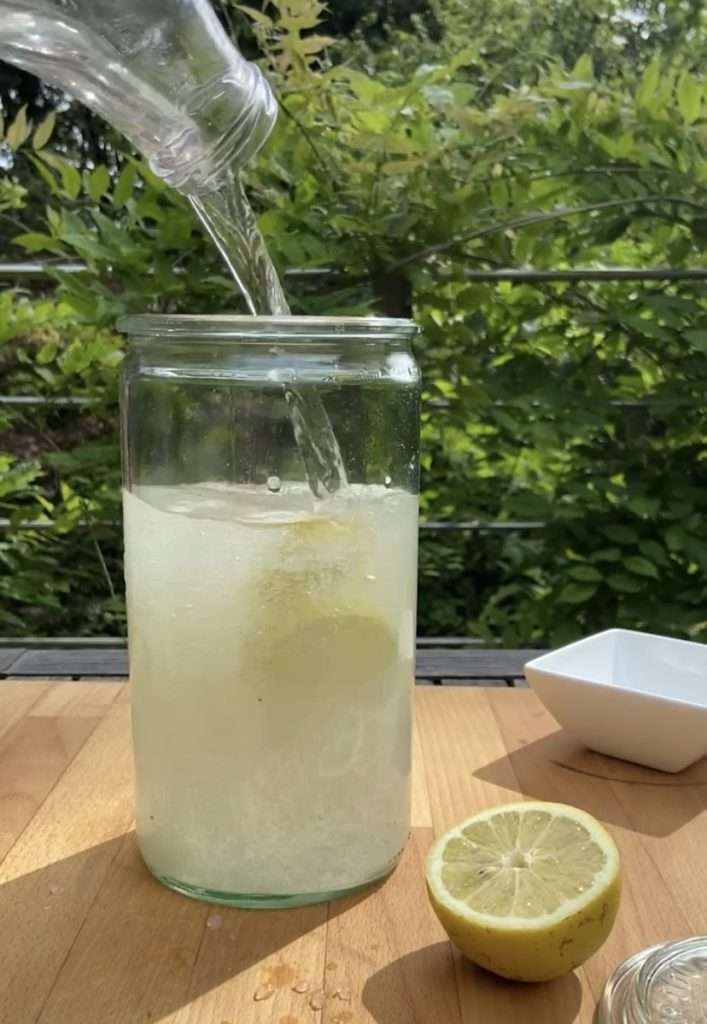 Graines de kéfir : guide pratique - Académie Fermentation