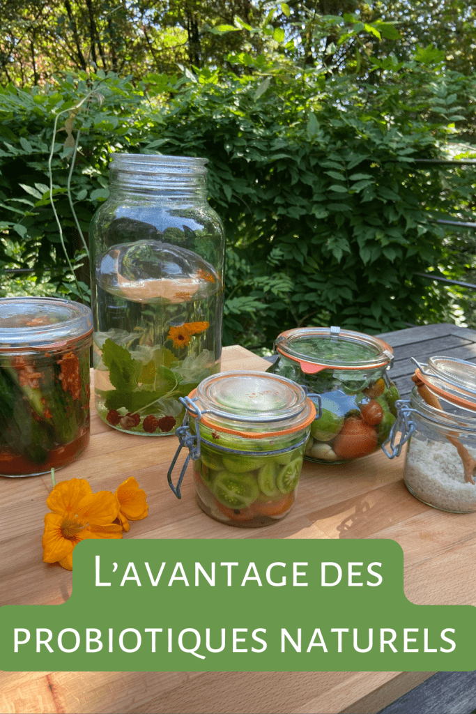 Les probiotiques les plus puissants sont dans votre assiette - Académie ...